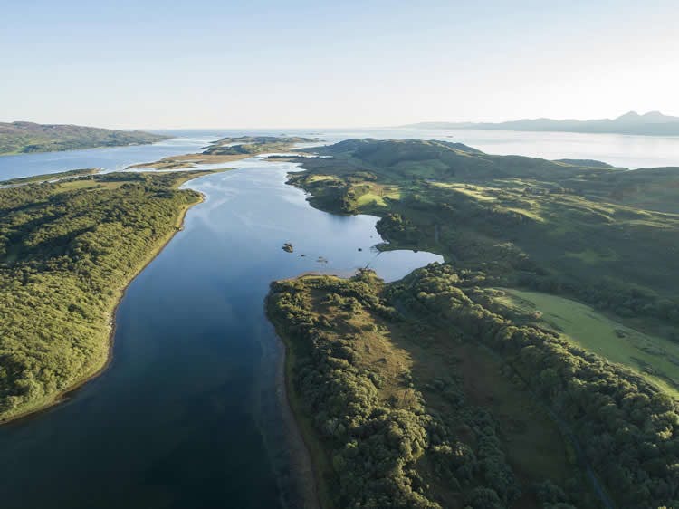 Highlands Rewilding crowdfunding campaign reaches £1m | ShareIn